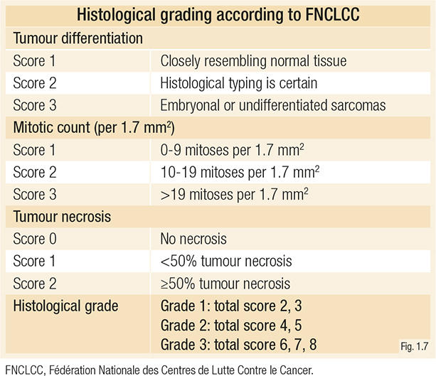 软组织肉瘤的分类：组织学分级|yabo手机版登录OncologyPRO - yabo体育手机版,www.yabo体育com,亚博 apk
